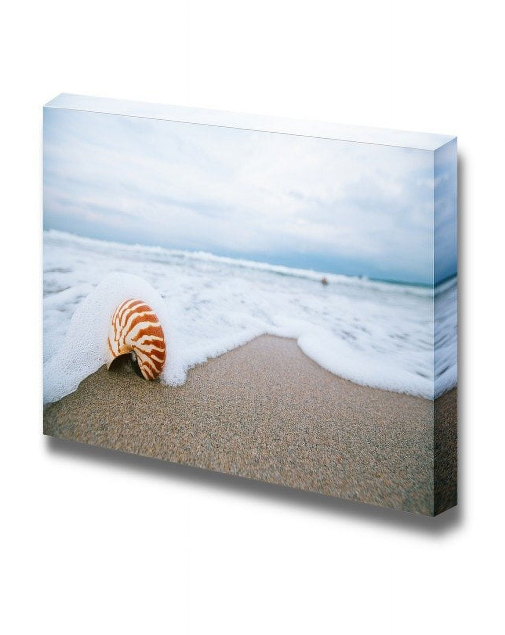wall26 - Canvas Prints Wall Art - Conch Shelled Washed Ashore The Sandy ...