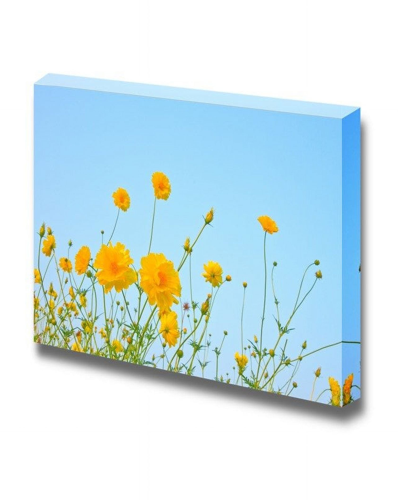 wall26 - Canvas Prints Wall Art - The Cosmos Flower on Blue Sky ...
