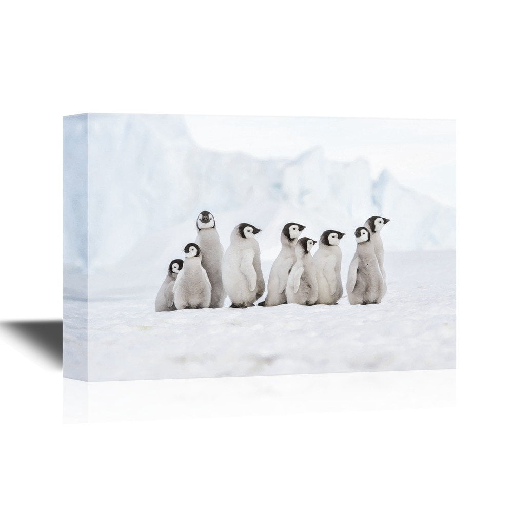 wall26 - Canvas Wall Art - A Group of Penguins - Gallery Wrap Modern ...