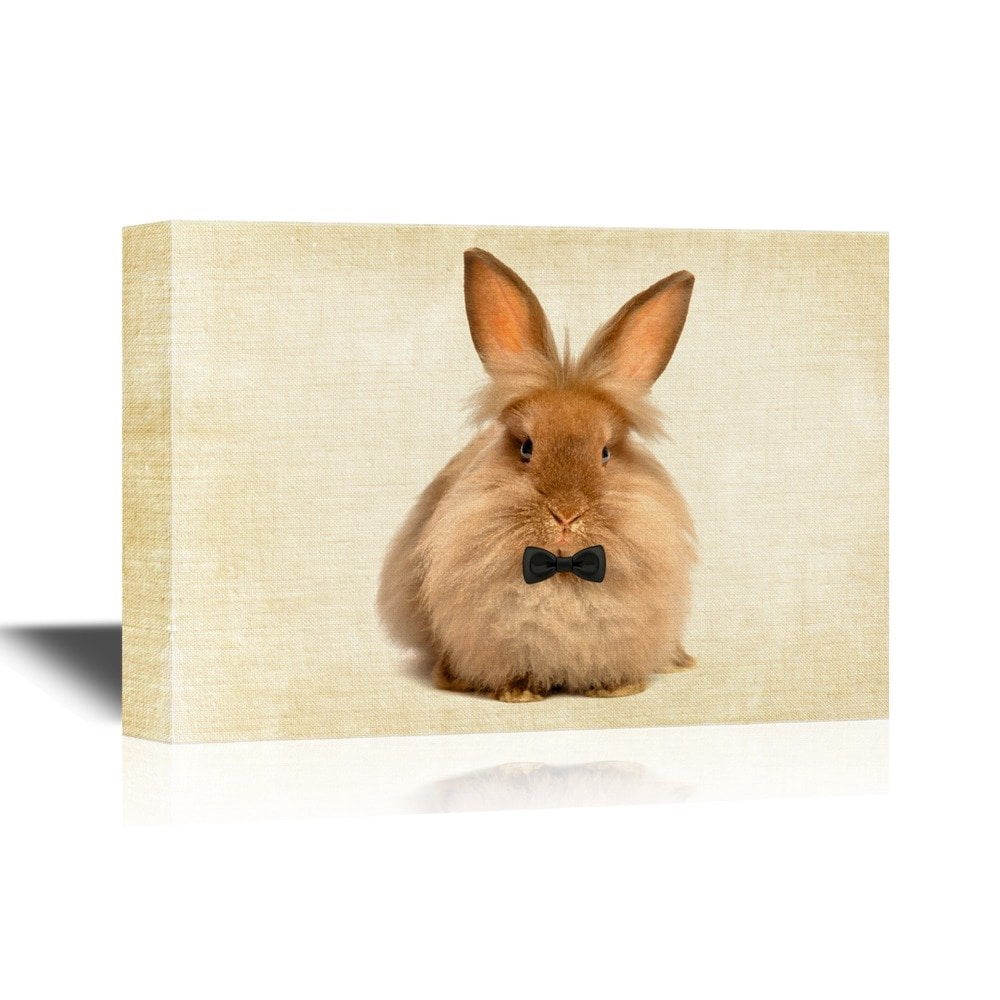 wall26 Canvas Wall Art - A Lying Chocolate Colored Lionhead Bunny ...