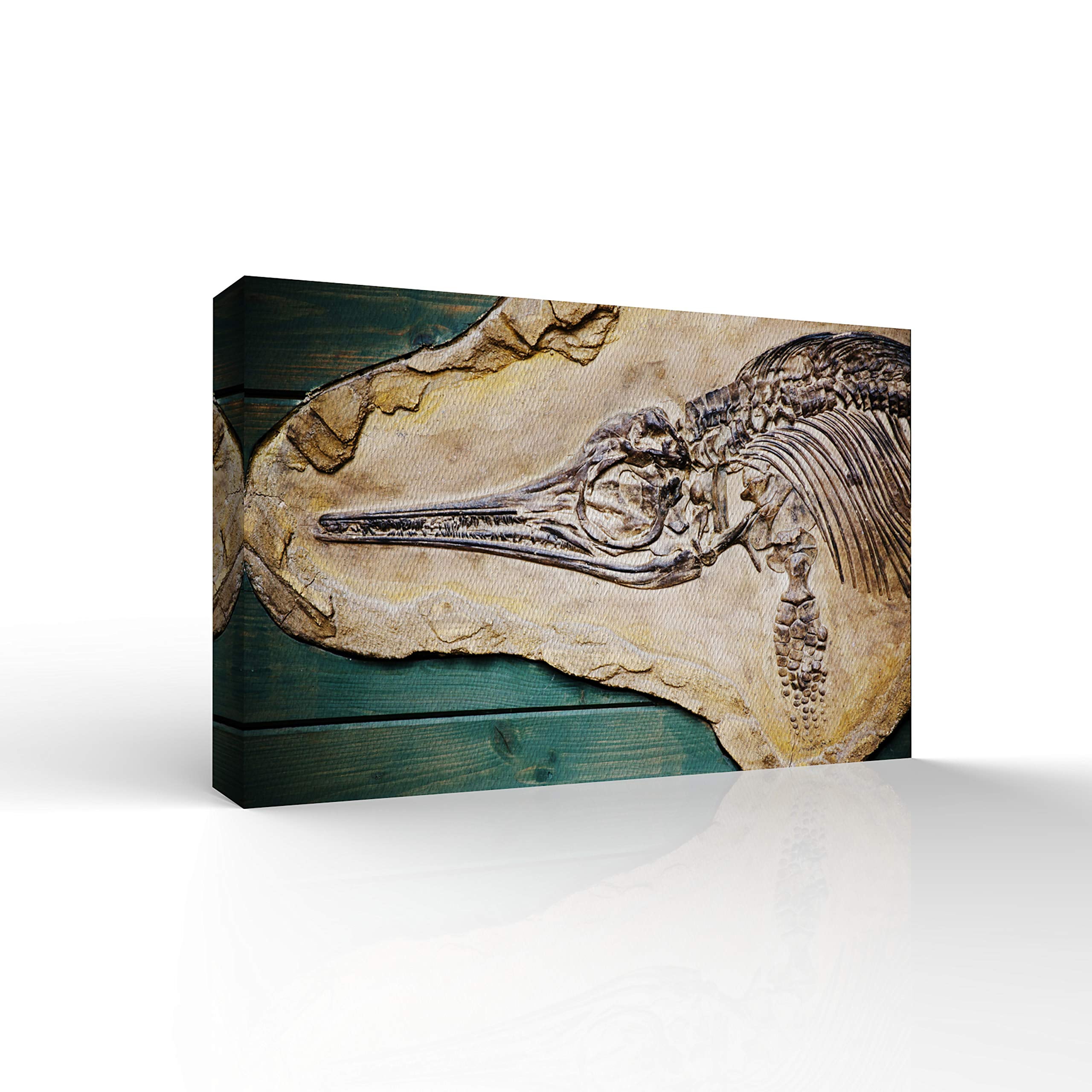 wall26 - Canvas Wall Art - Animal Fossil Office Poster Prints - Modern ...