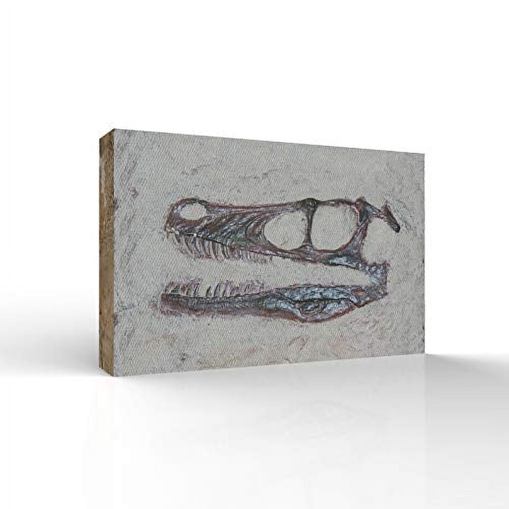 wall26 - Canvas Wall Art - Animal Fossil Office Poster Prints - Modern ...