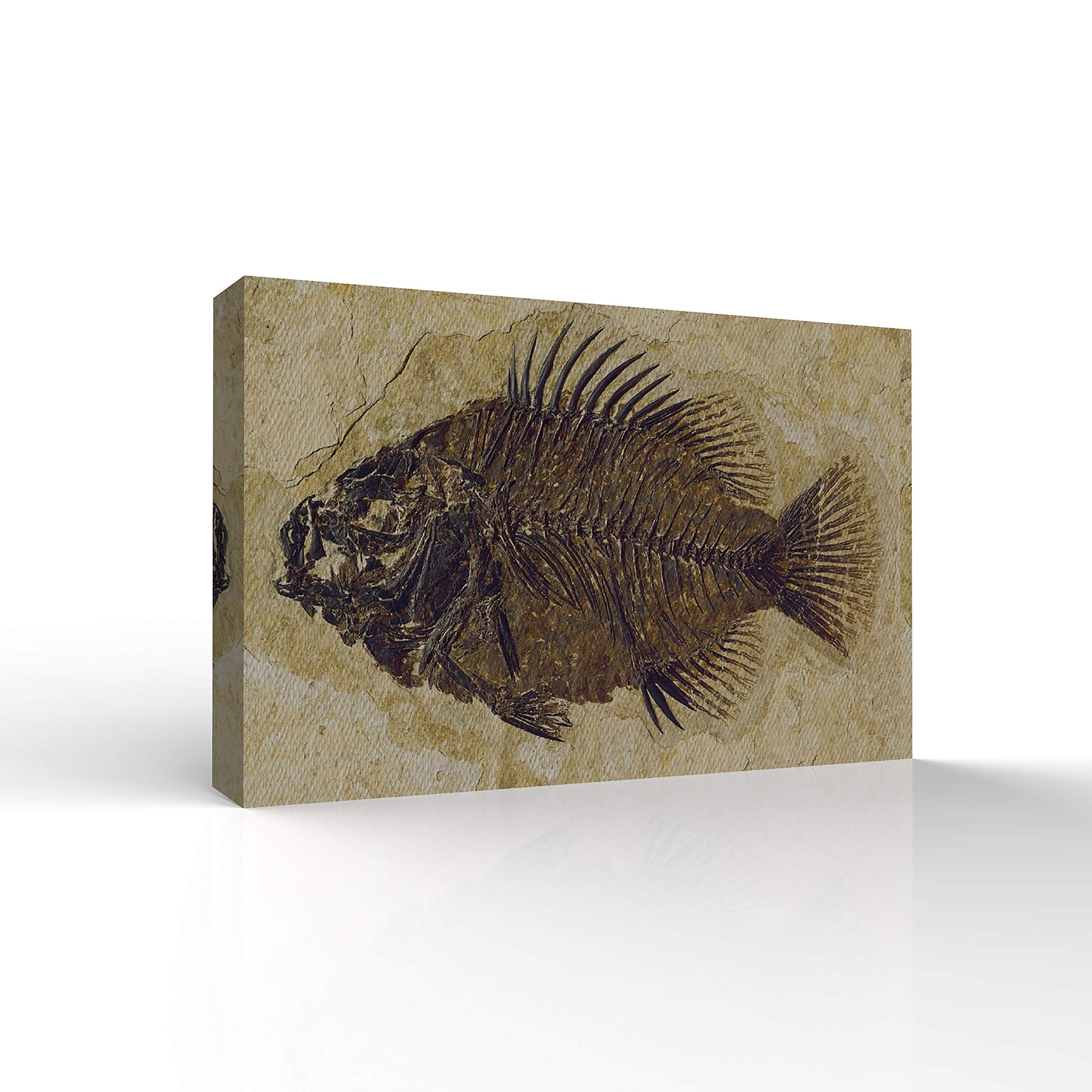 wall26 - Canvas Wall Art - Fish Fossil - Office Modern Home Art ...