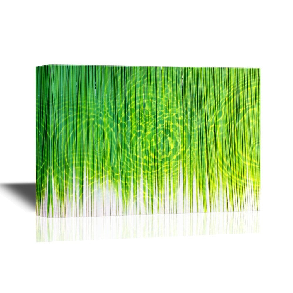 wall26 - Canvas Wall Art - Green Leaf of Papyrus Abstract Background ...