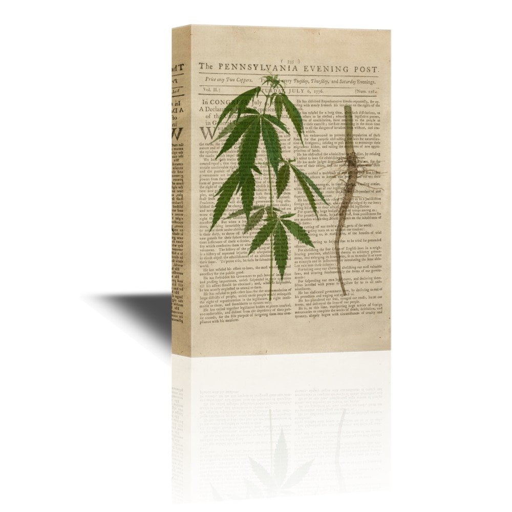 wall26 - Canvas Wall Art - Green Plant and Roots on Vintage Paper with ...