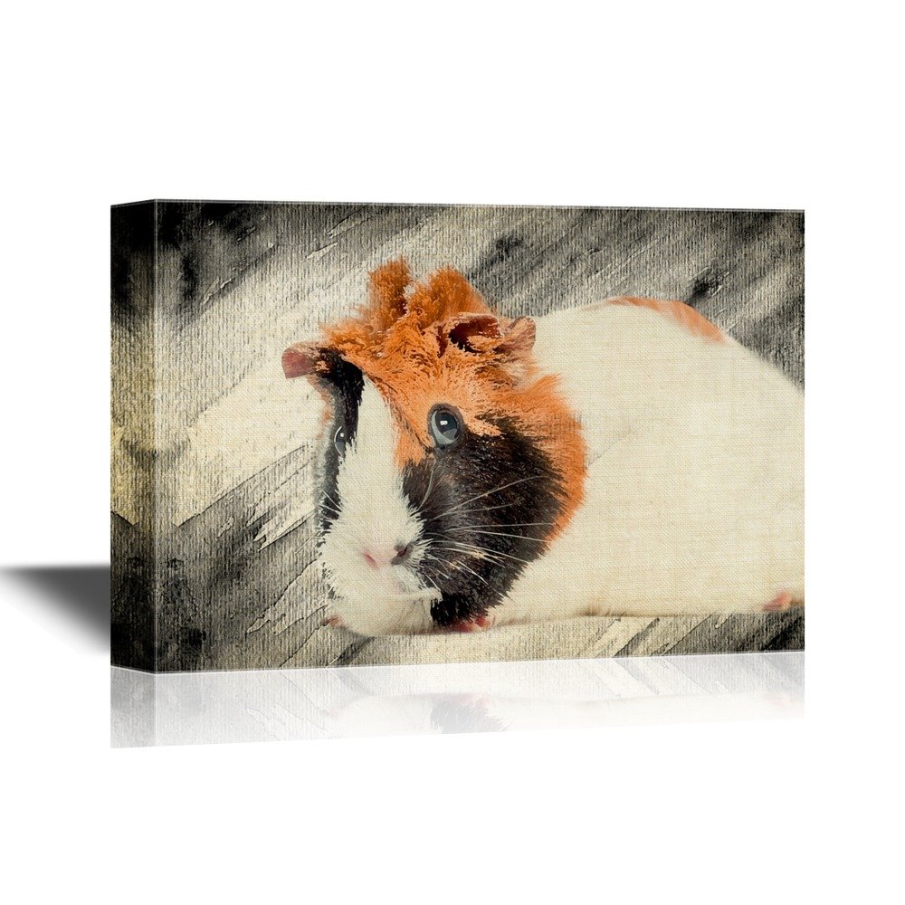 wall26 Canvas Wall Art - Guinea Pig on Abstract Background - Gallery ...