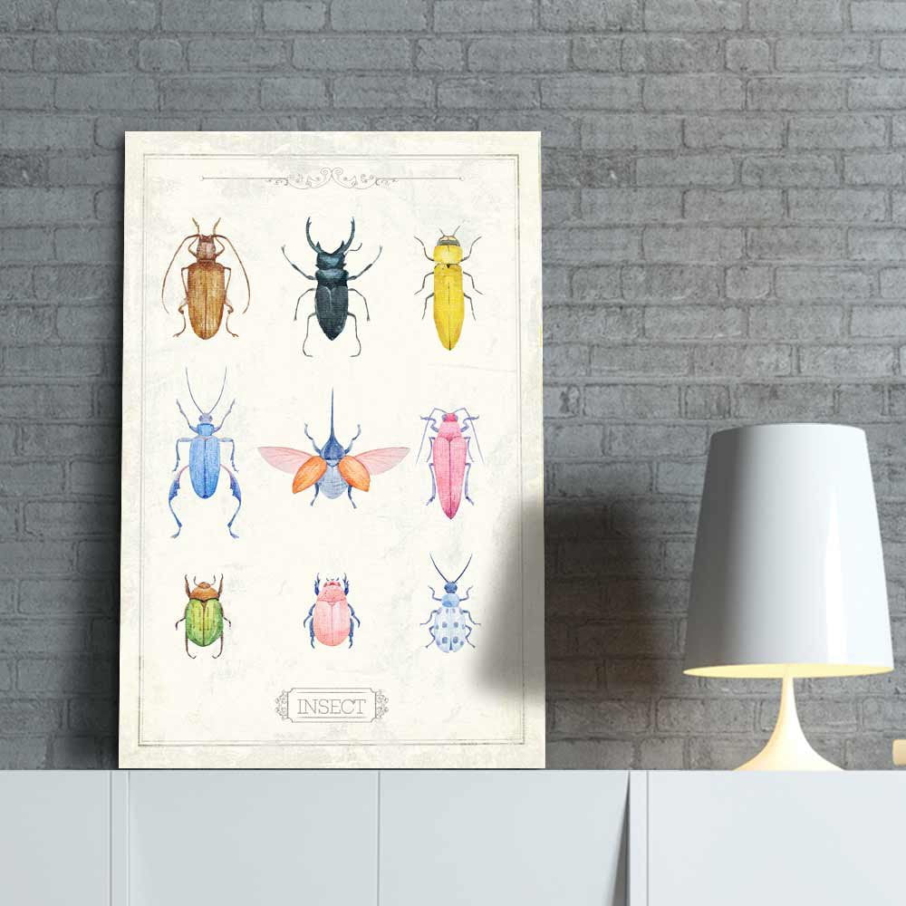 wall26 - Canvas Wall Art - Hand Drawn Insect Collection Single Artwork ...