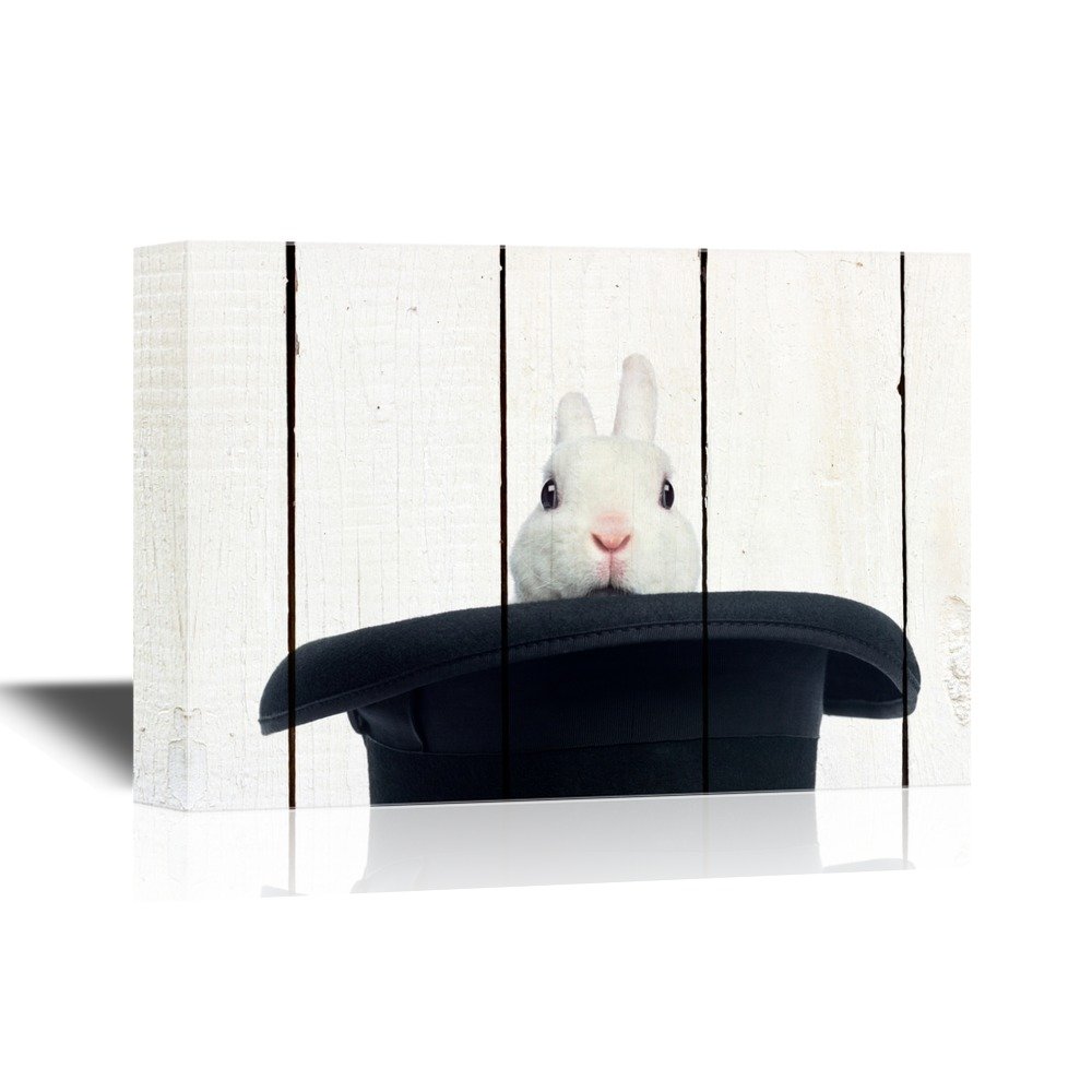 wall26 - Canvas Wall Art - Mini Rex Rabbit Appearing from a Top Hat ...
