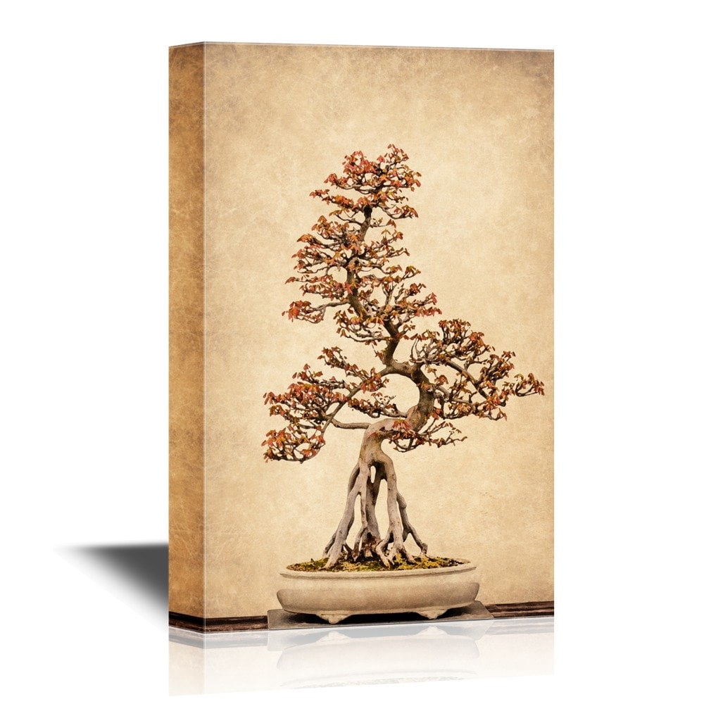 wall26 - Canvas Wall Art - Potted Bonsai Tree - Gallery Wrap Modern ...
