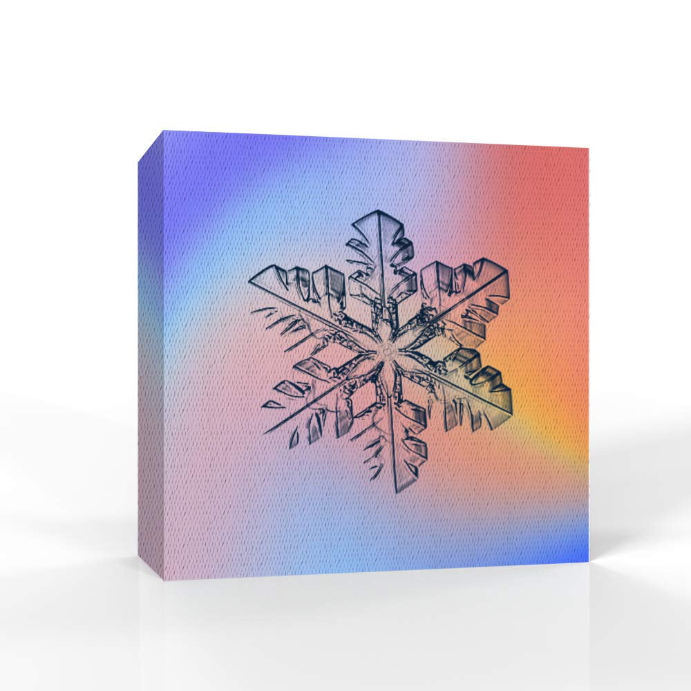 wall26 - Canvas Wall Art - Snowflake Theme - Modern Home Art Stretched ...
