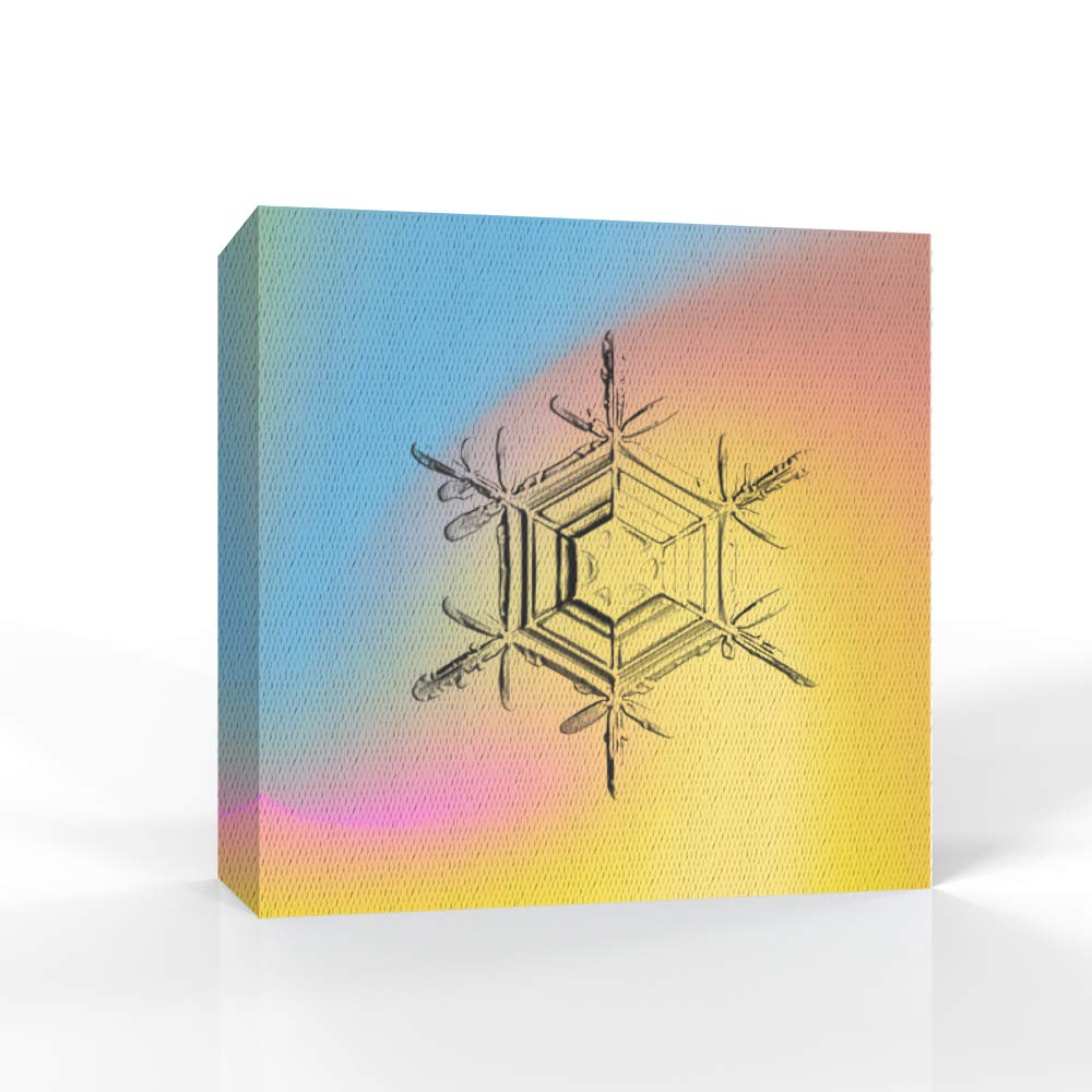 wall26 - Canvas Wall Art - Snowflake Theme - Modern Home Art Stretched ...
