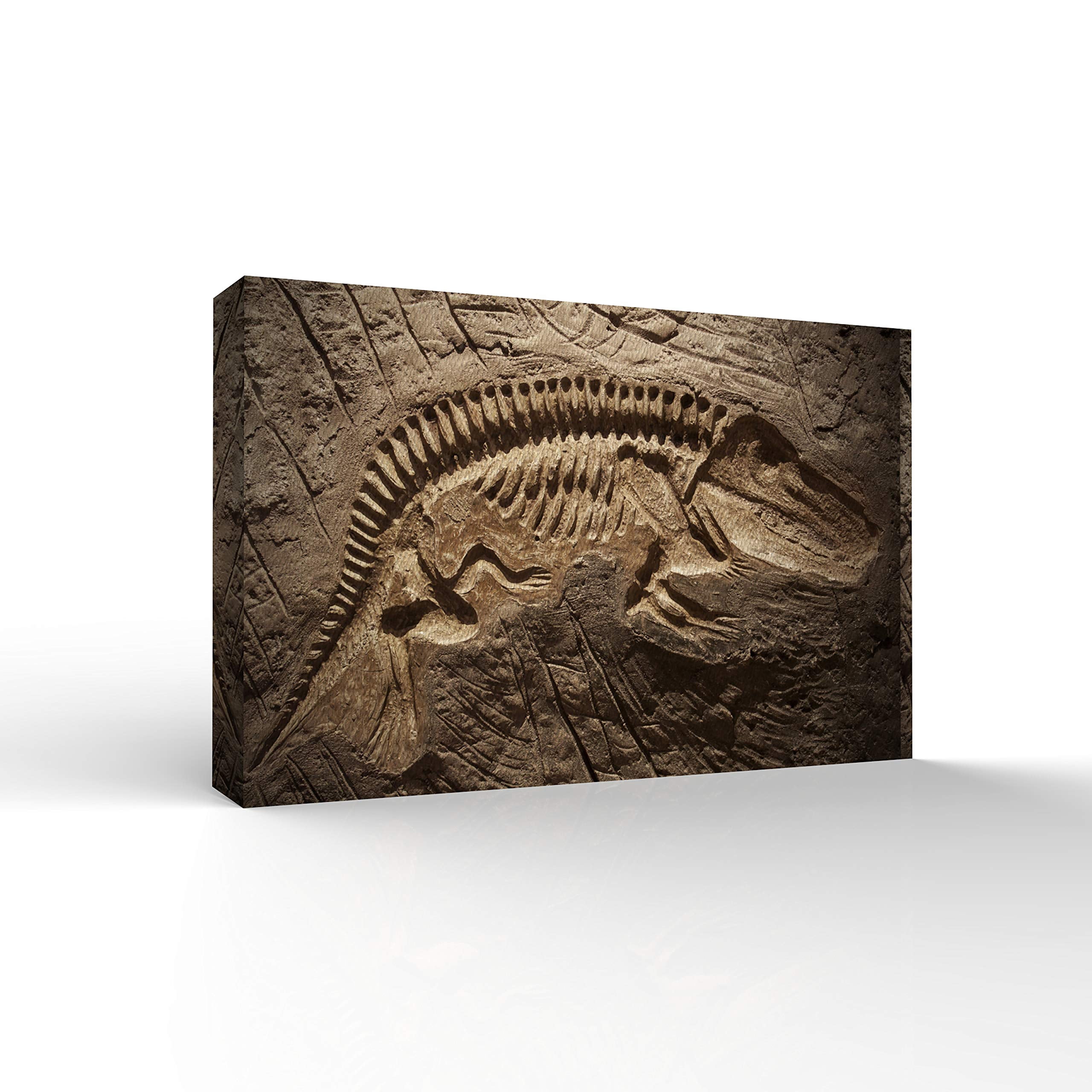 wall26 - Canvas Wall Art - Vintage Fossil - Bedroom Modern Home Art ...