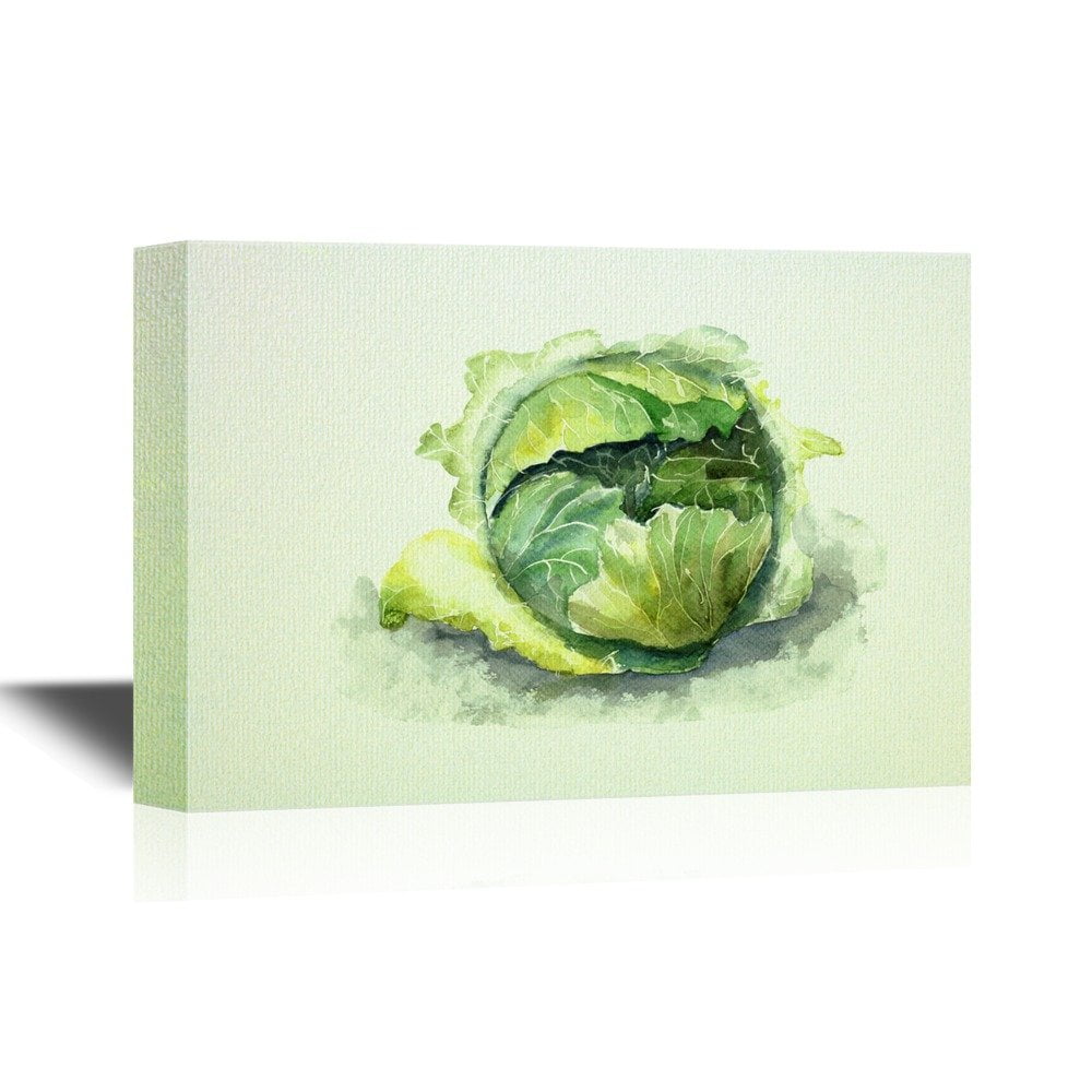 wall26 - Canvas Wall Art - Watercolor Painting of Cabbage - Gallery ...