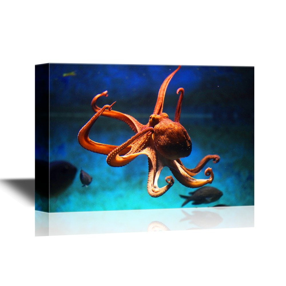 wall26 - Canvas Wall Art - an Octopus Swimming Under The Ocean ...