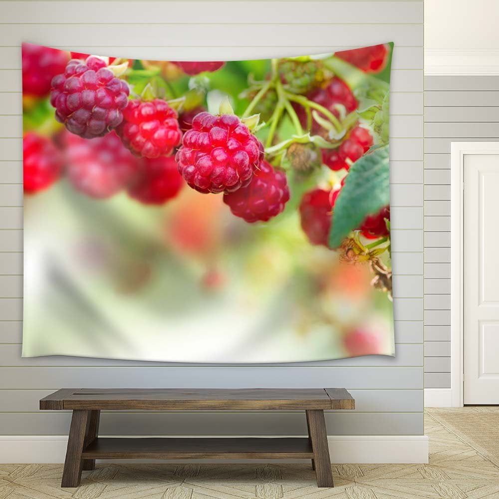 wall26 - Closeup of Fresh Ripe Berries - Fabric Tapestry, Home Decor ...