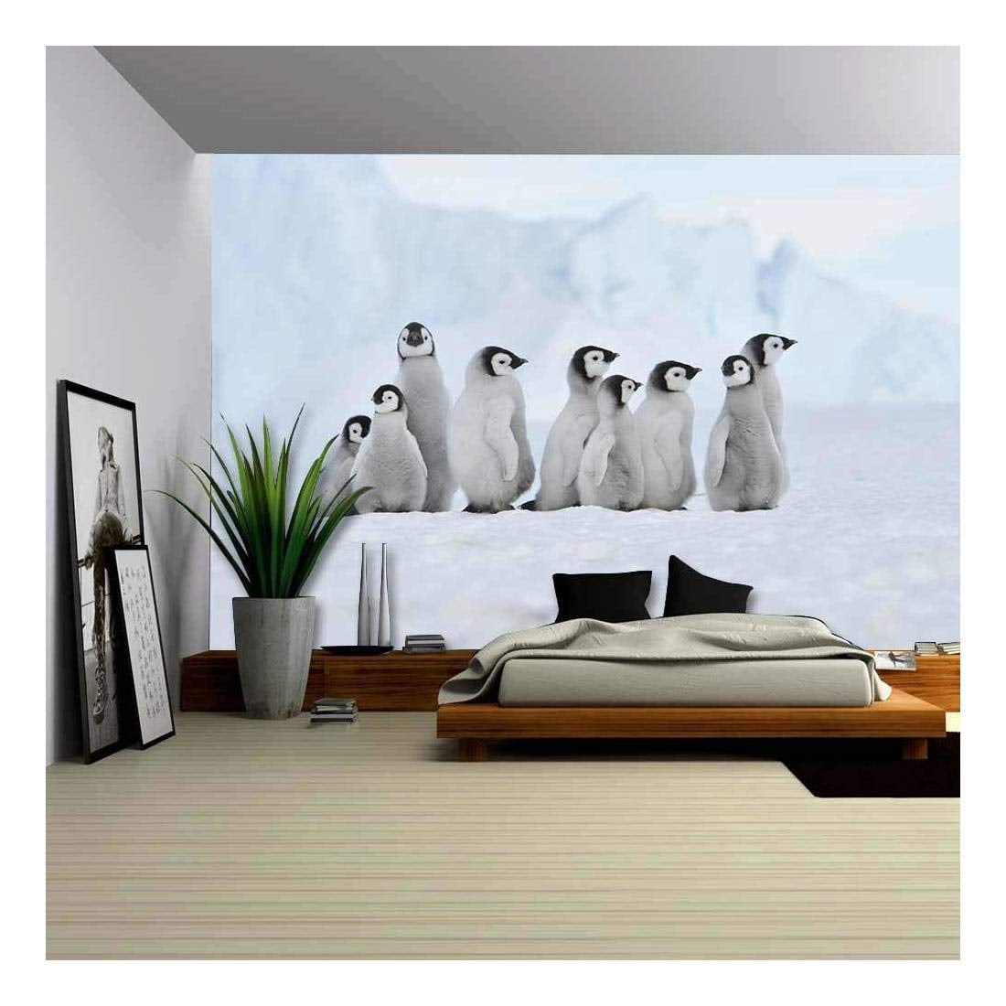 wall26 - Emperor Penguin Chicks Snow Hill, Antarctica 2010 on The ...