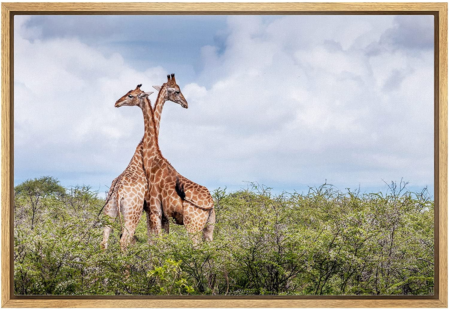 wall26 Framed Canvas Print Wall Art African Savanna Safari Jungle ...