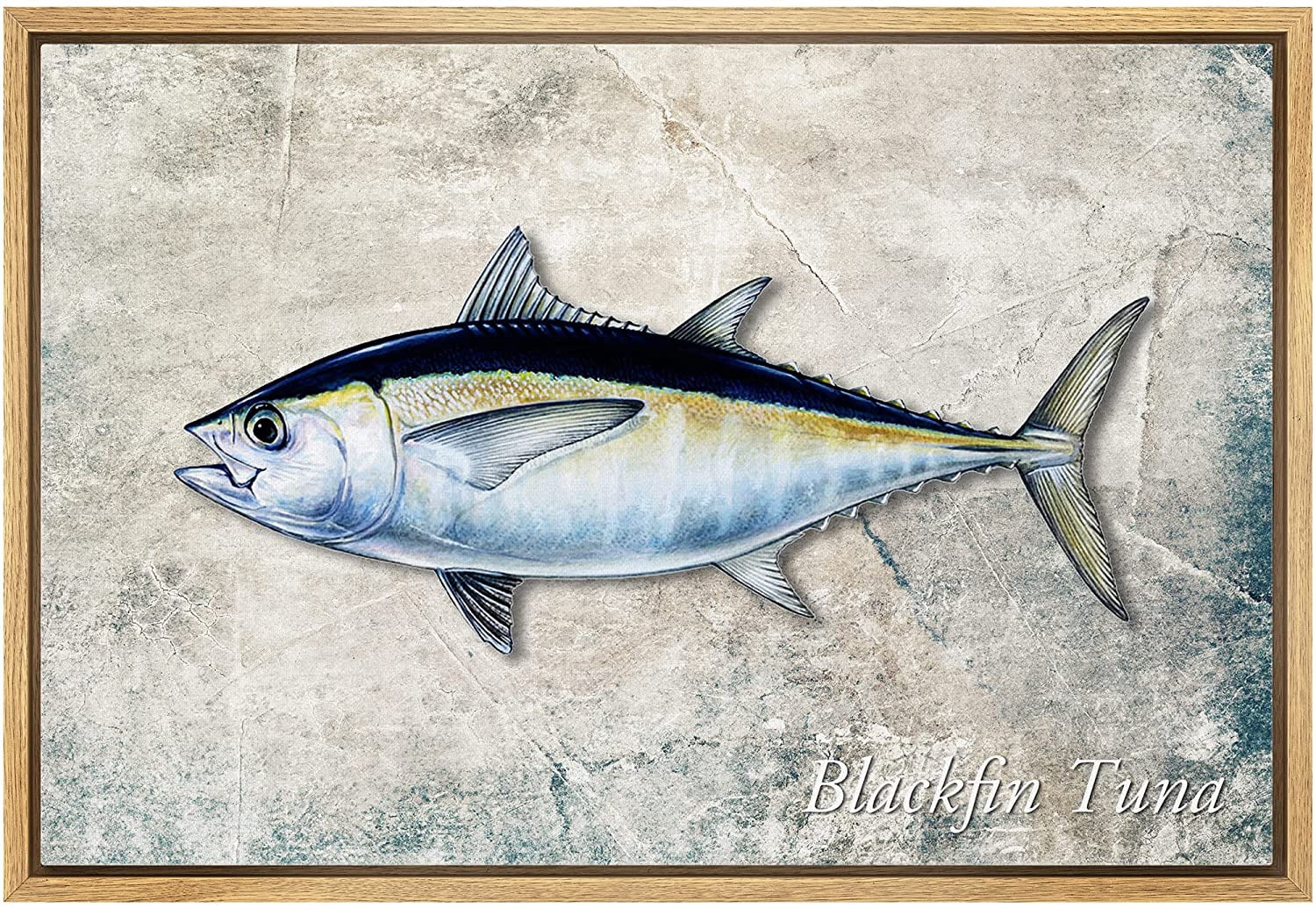 wall26 Framed Canvas Print Wall Art Black Fin Tuna Fish on Granite ...