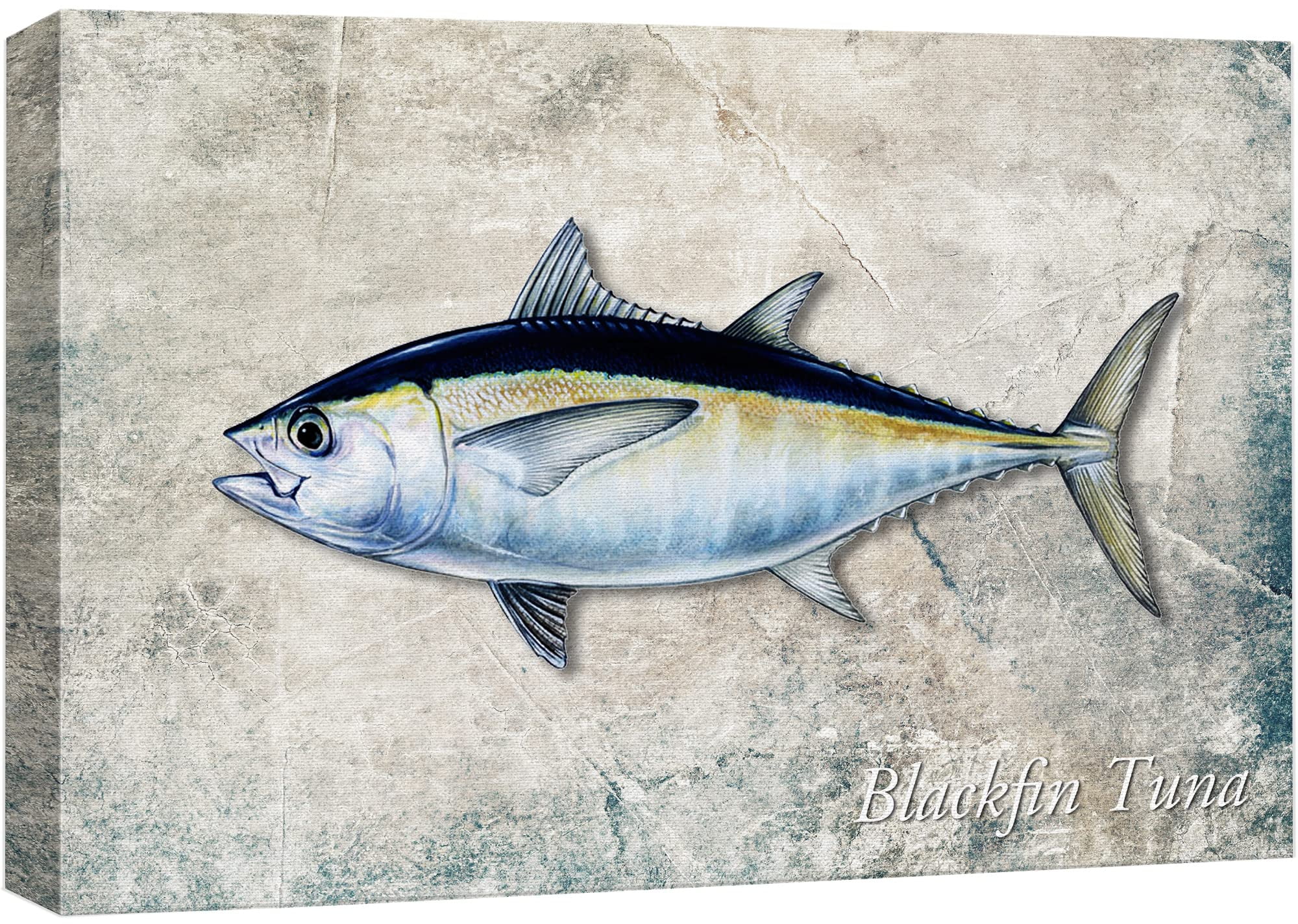 wall26 Framed Canvas Print Wall Art Black Fin Tuna Fish on Granite ...