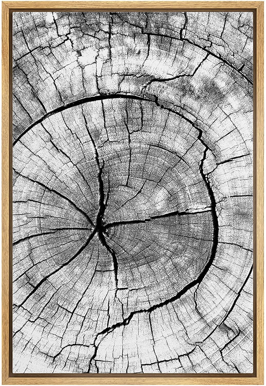 wall26 Framed Canvas Print Wall Art Black White Forest Wood Tree Ring ...
