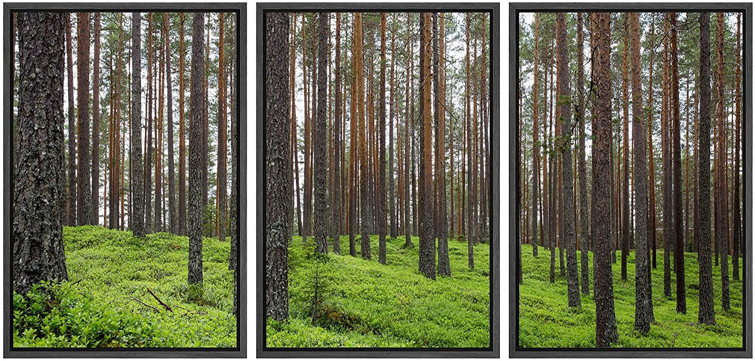 wall26 Framed Canvas Print Wall Art Brown Trees in Green Spring Forest ...