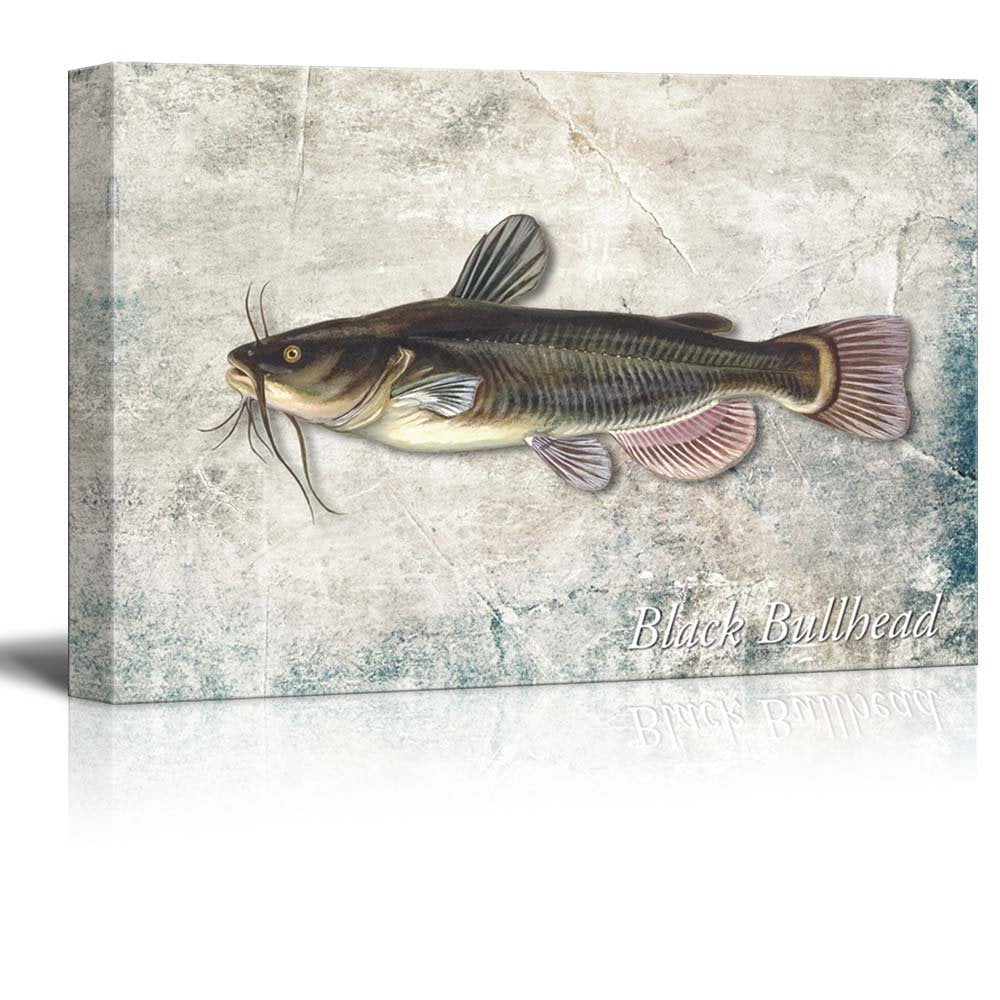 wall26 Framed Canvas Print Wall Art Bullhead Fish on Granite Background ...