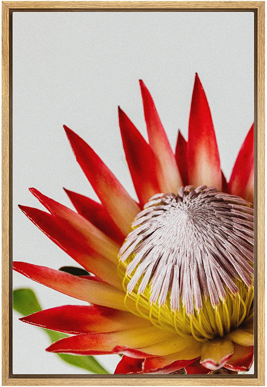 wall26 Framed Canvas Print Wall Art Close Up Bright Red Flowering ...