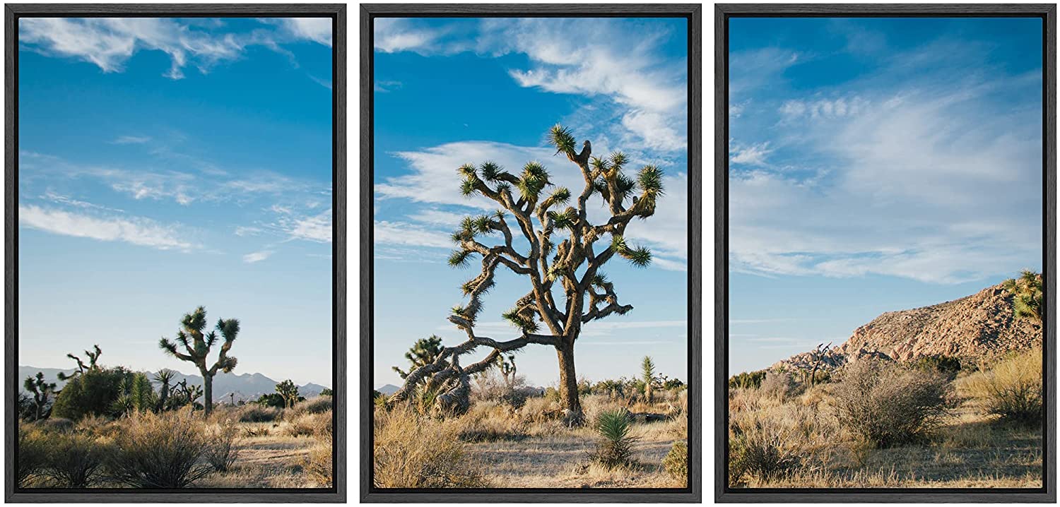 wall26 Framed Canvas Print Wall Art Joshua Tree Desert National Park ...