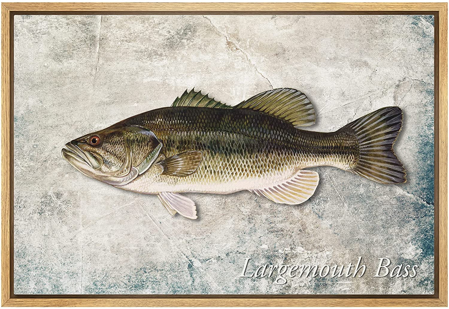 wall26 Framed Canvas Print Wall Art Largemouth Bass Fish on Granite ...