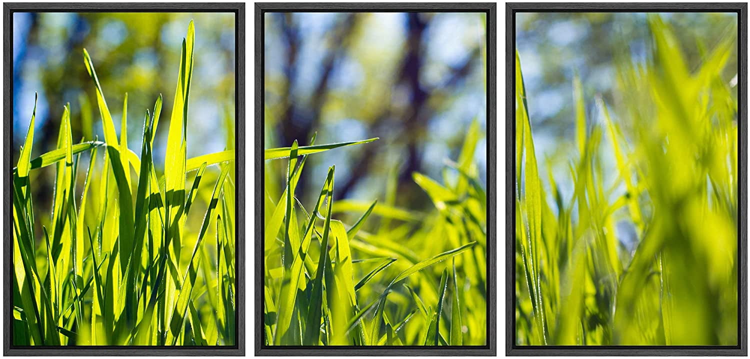 wall26 Framed Canvas Print Wall Art Set Blades of Grass on Spring ...
