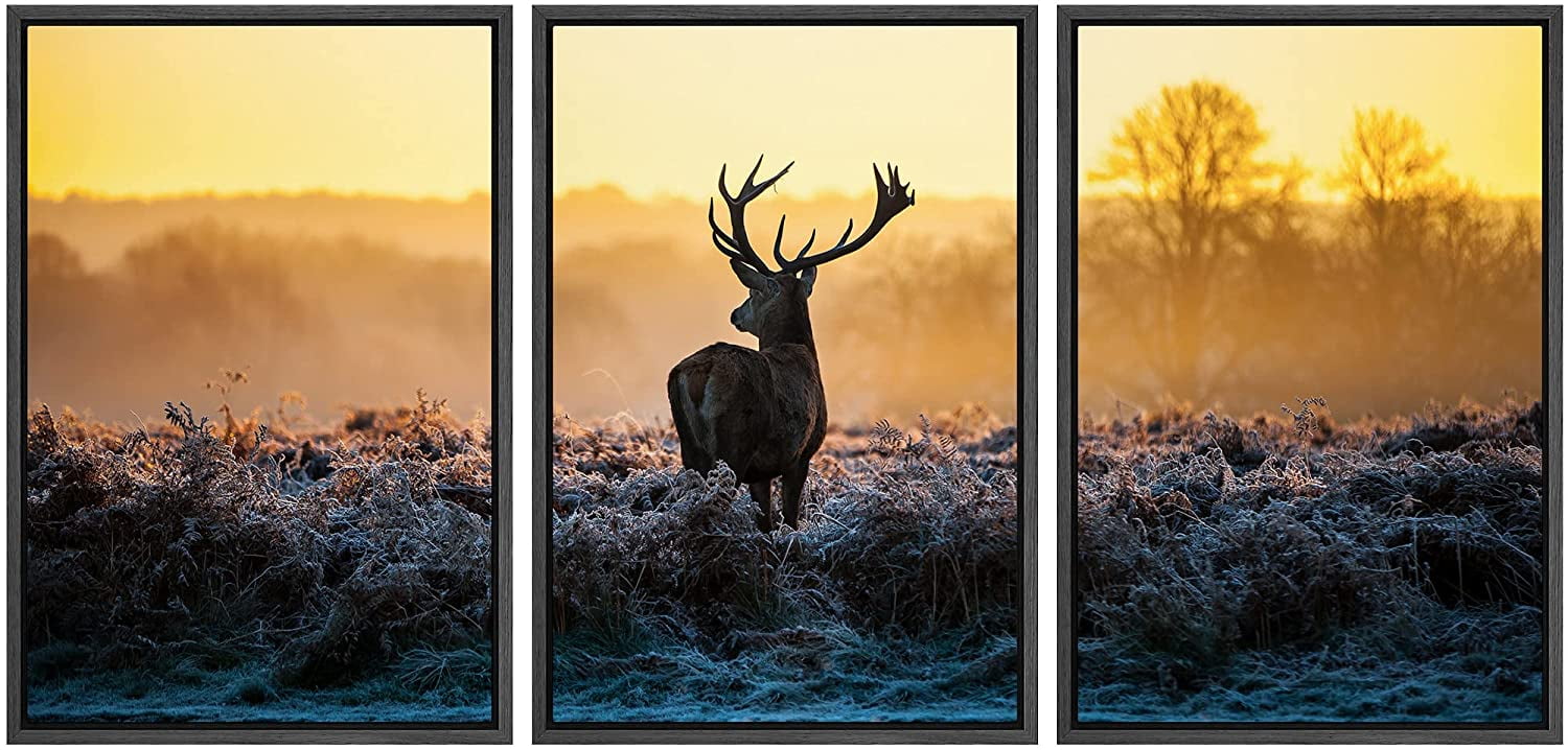 wall26 Framed Canvas Print Wall Art Set Deer in Golden Light at Dawn ...