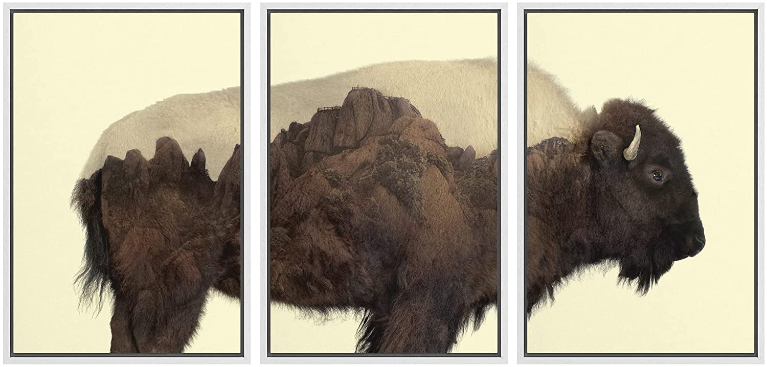 wall26 Framed Canvas Print Wall Art Set Double Exposure Buffalo with ...