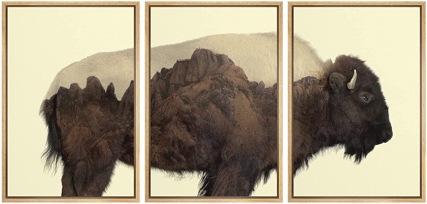 wall26 Framed Canvas Print Wall Art Set Double Exposure Buffalo with ...