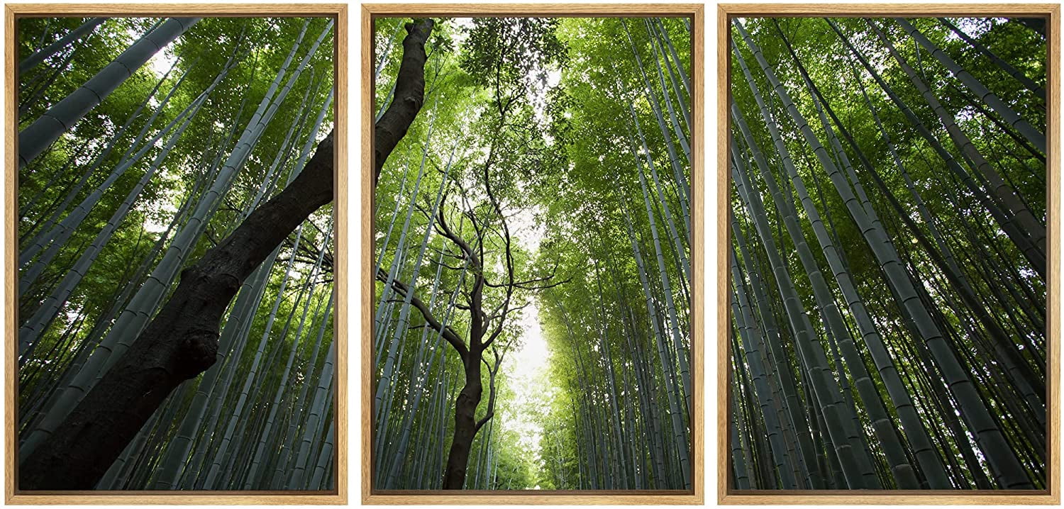 wall26 Framed Canvas Print Wall Art Set Ground View of Light Through ...
