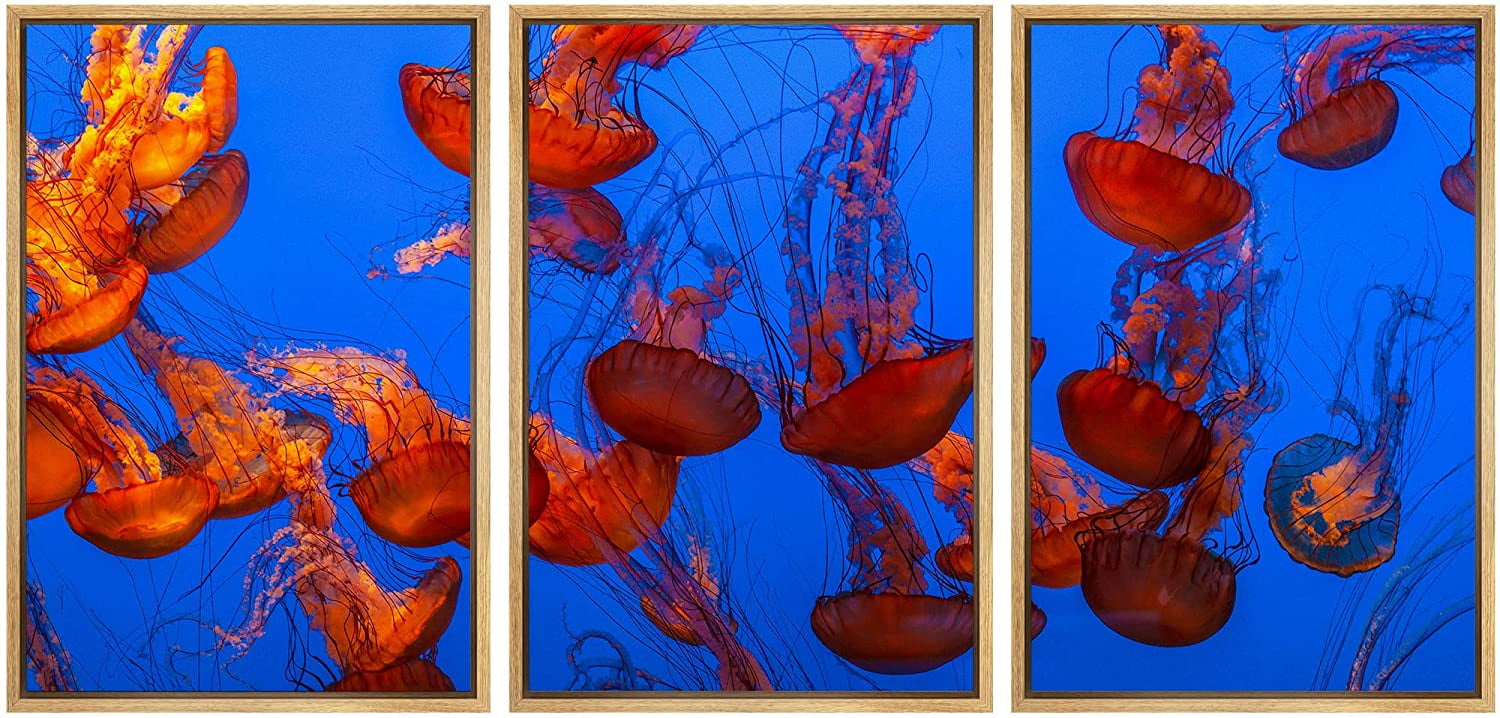wall26 Framed Canvas Print Wall Art Set Rainbow Coral Reef Turtle Fish ...