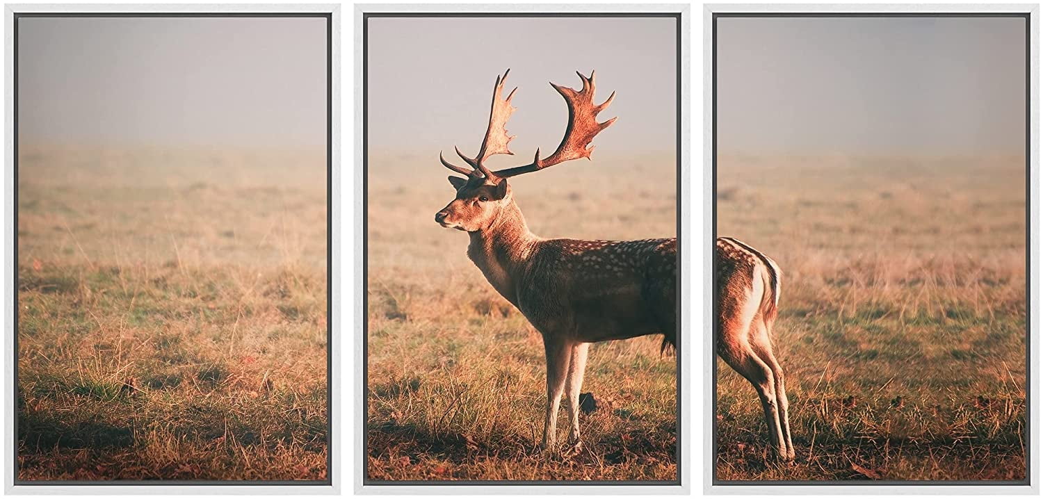 wall26 Framed Canvas Print Wall Art Set Wild Deer Stag Country Farm ...