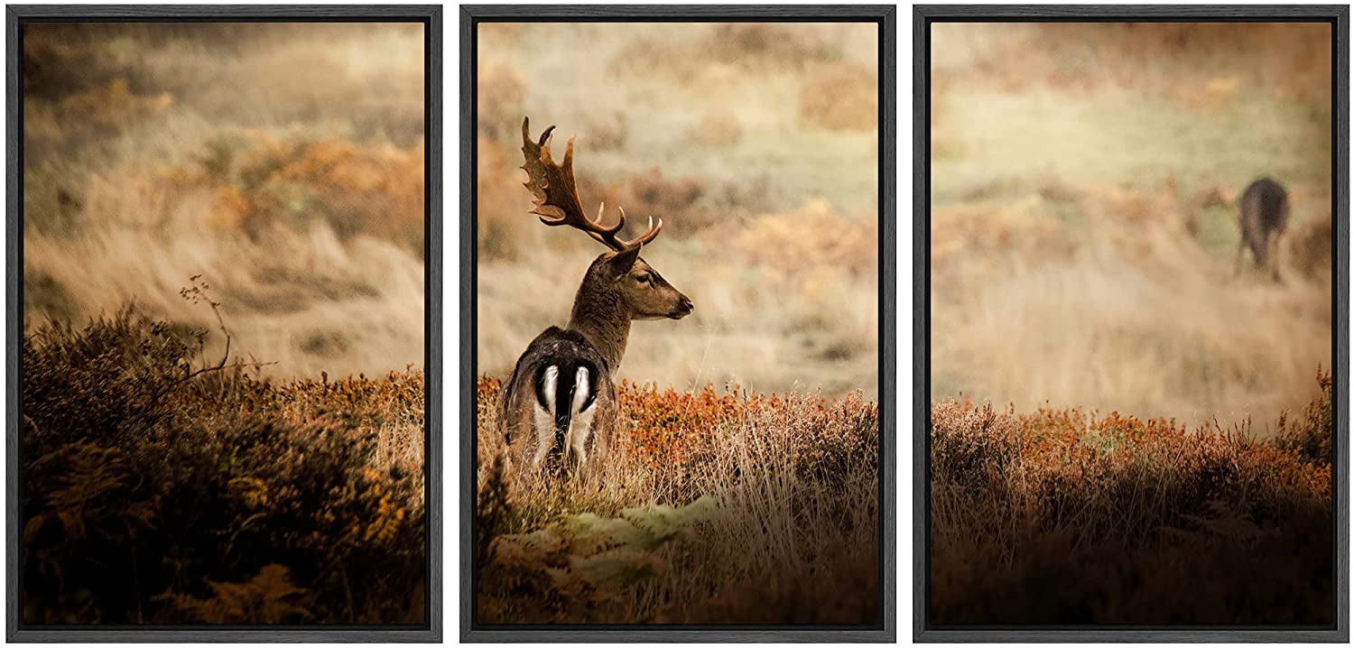 wall26 Framed Canvas Print Wall Art Set Wild Desert Brush Field ...