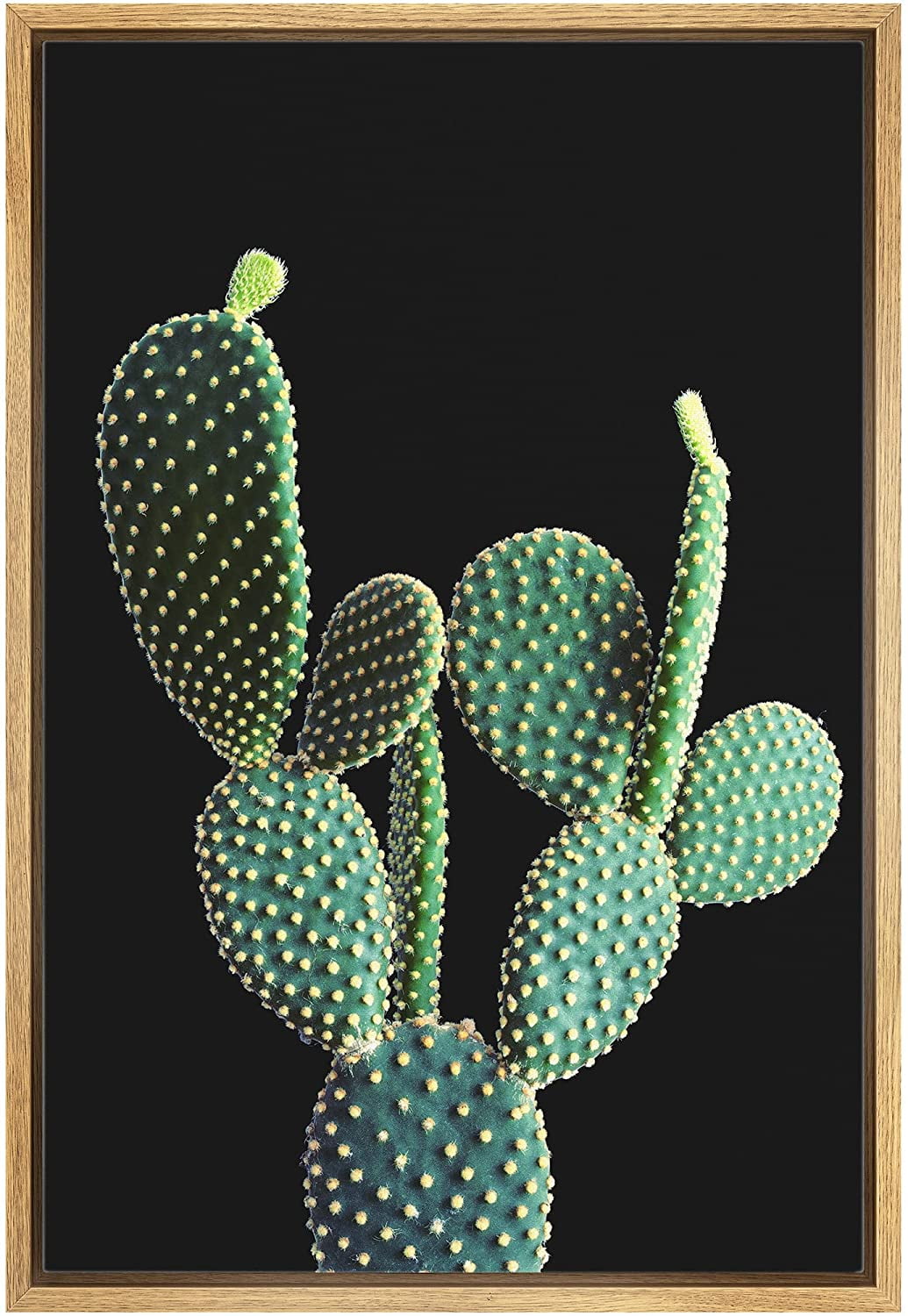 wall26 Framed Canvas Print Wall Art Southwest Desert Bunny Ear Cactus ...