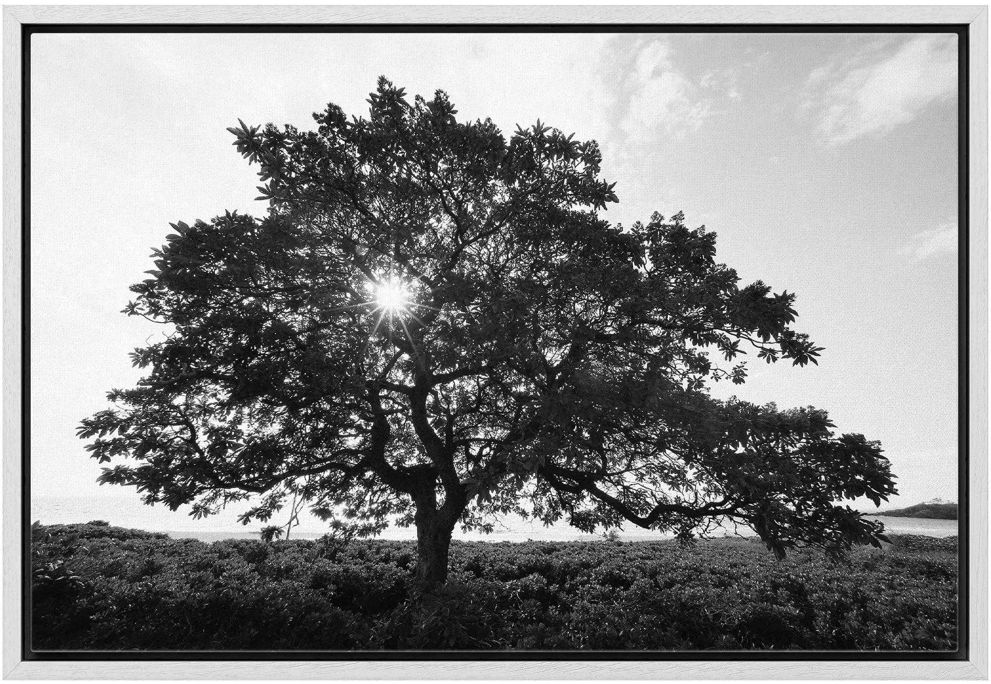 wall26 Framed Canvas Print Wall Art Sunlight Shines Through Large ...