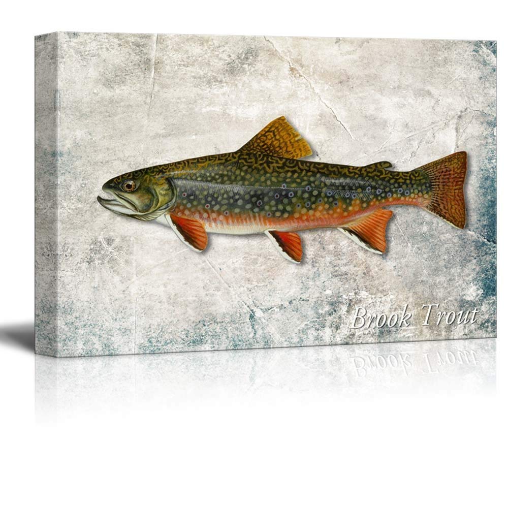 wall26 Framed Canvas Print Wall Art Trout Fish on Granite Background ...