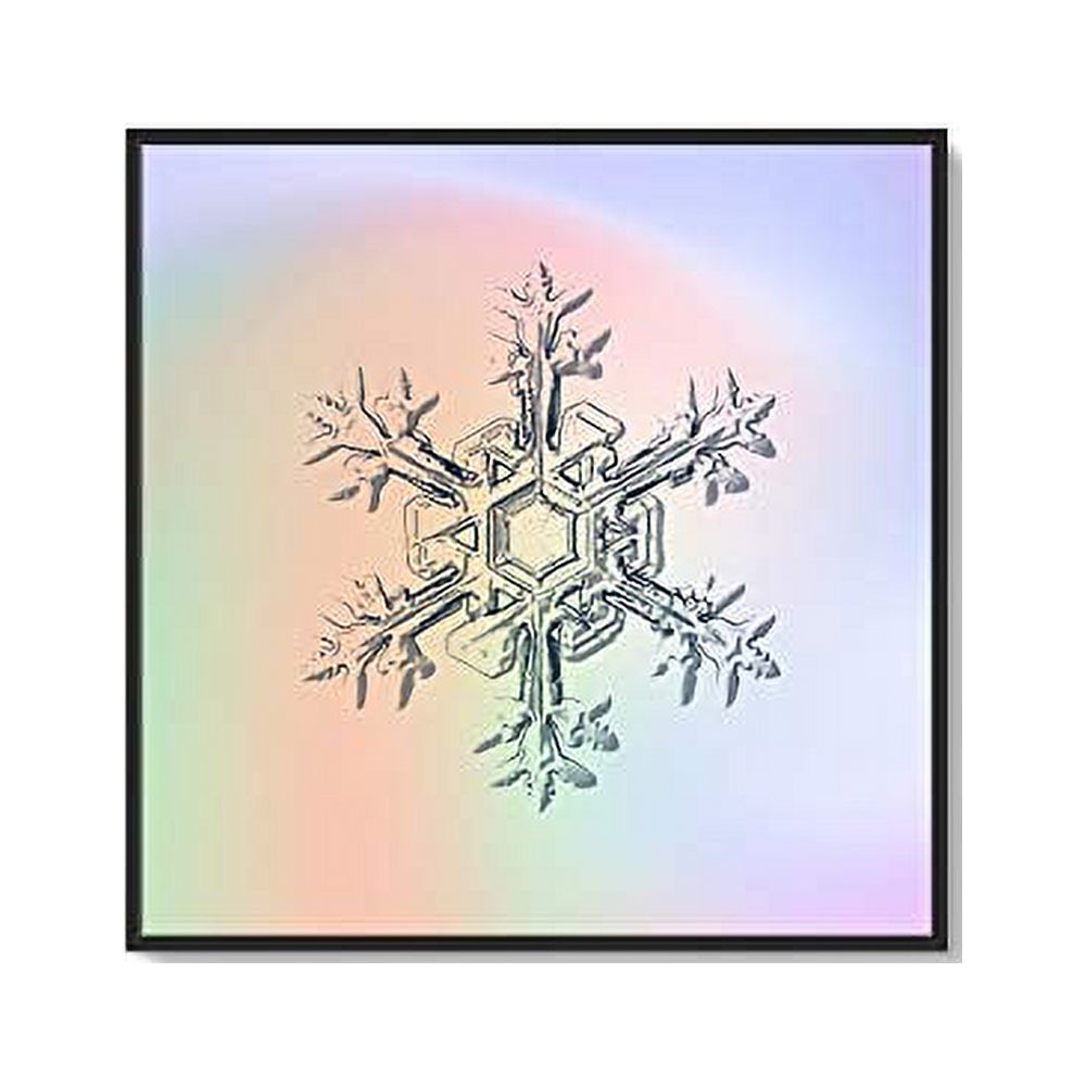 wall26 Framed Canvas Wall Art for Living Room, Bedroom Snowflake Theme ...