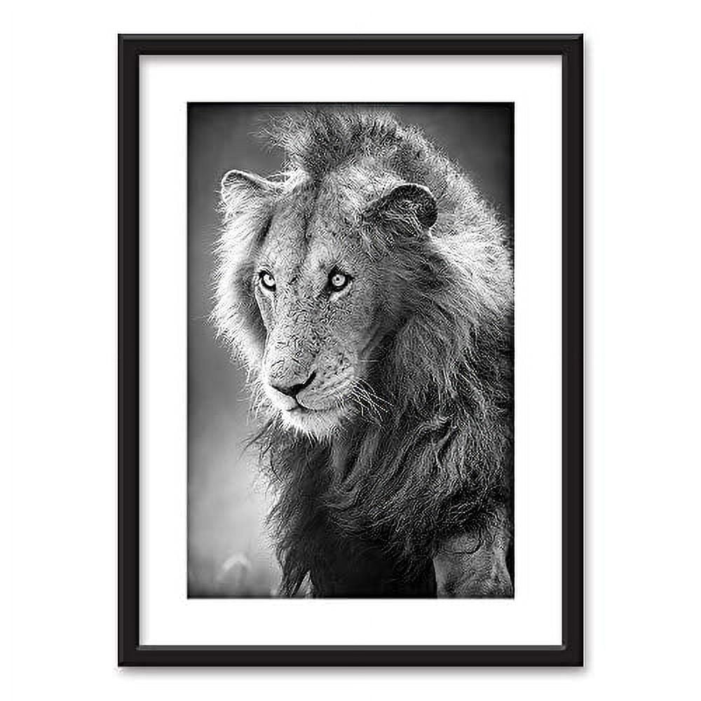 wall26 - Framed Wall Art - Male Lion in Black and White - Black Picture ...