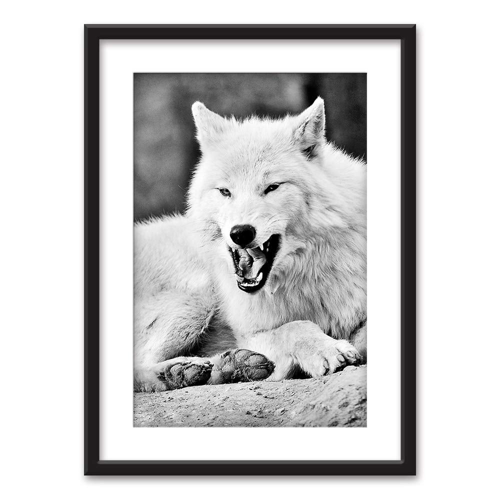 wall26 - Framed Wall Art - Wolf in Black White - Black Picture Frames ...