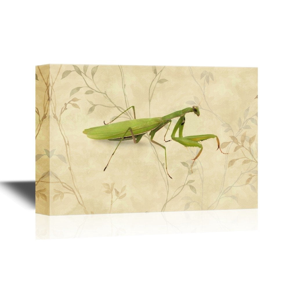 wall26 - Insects Artwork Series Canvas Wall Art - A Praying Mantis on ...