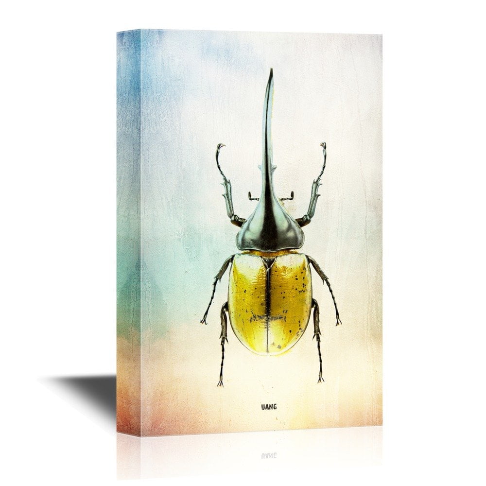 wall26 - Insects Artwork Series Canvas Wall Art - Dynastes Hercules on ...