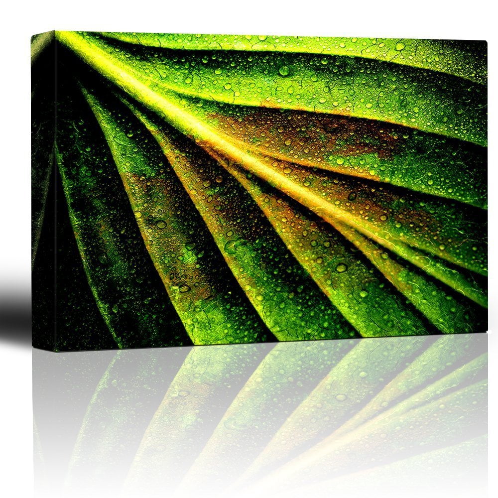 wall26 - Intricate Leaf with Rain Drops and High Contrast - Canvas Art ...