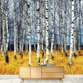 wall26 - Landscape Mural of a Birch Tree Forest - Wall Mural, Removable ...
