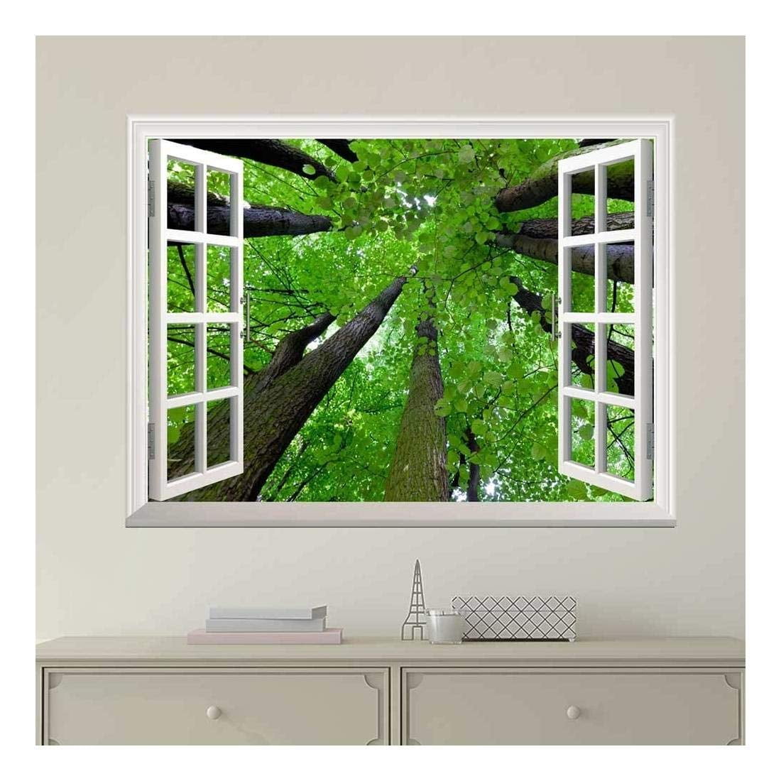 wall26 - Modern White Window Looking Out Into The Top of The Trees ...