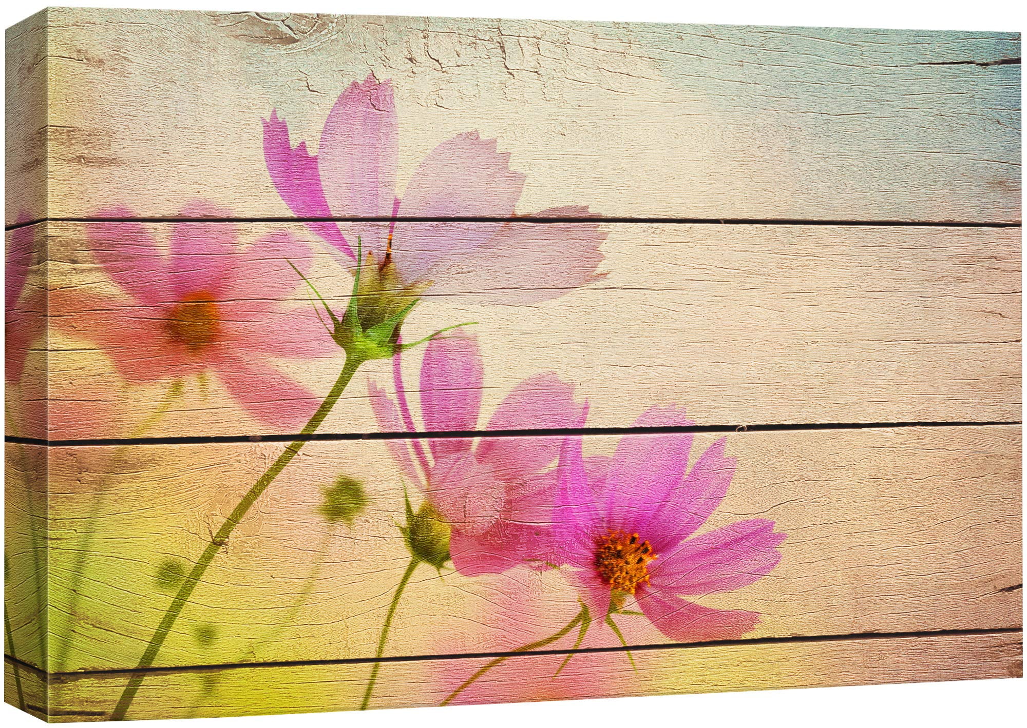 wall26 Pink Flowers in a Files Gorgruos Large Petals - Rustic Floral ...