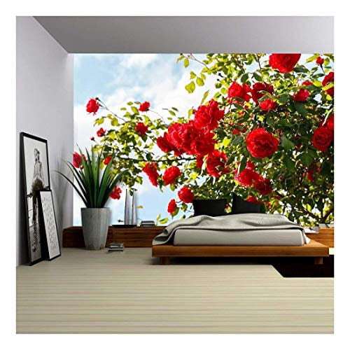 wall26 - Red Roses Bush in The Garden - Removable Wall Mural | Self ...